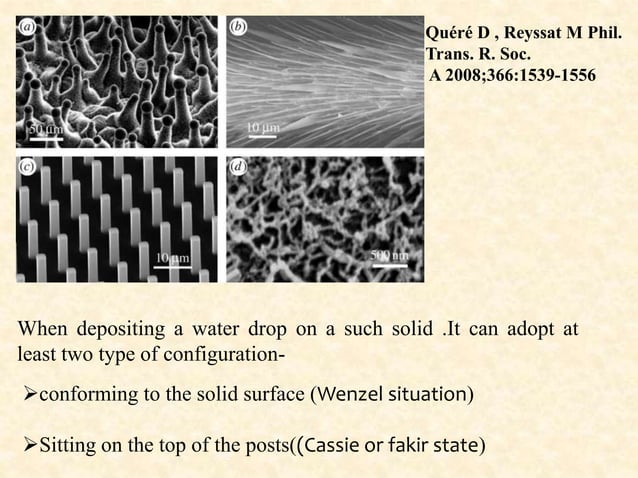 HYDROPHOBIC-HYDROPHILIC.ppt