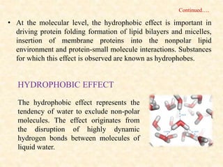 HYDROPHOBIC-HYDROPHILIC.ppt
