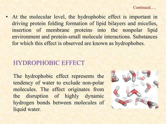HYDROPHOBIC-HYDROPHILIC.ppt