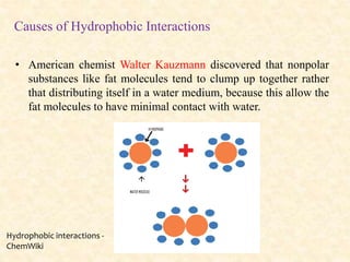 HYDROPHOBIC-HYDROPHILIC.ppt