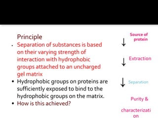 Hydrophobic Interaction Chromatography