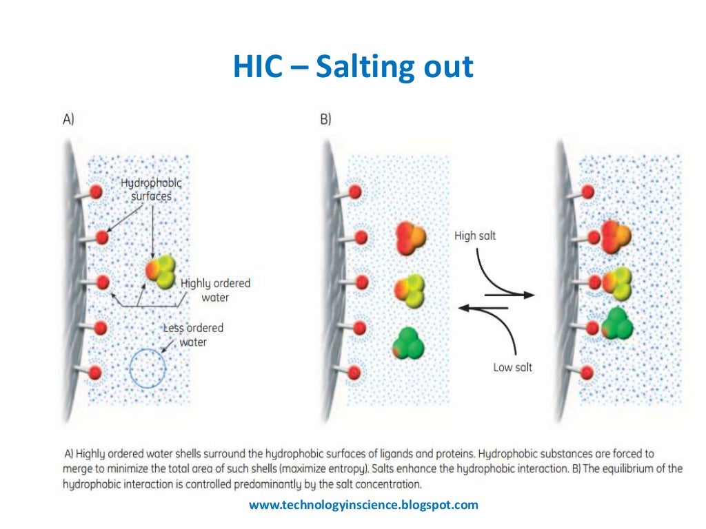 Hydrophobic Interaction Chromatography [hic] Theory And Principle
