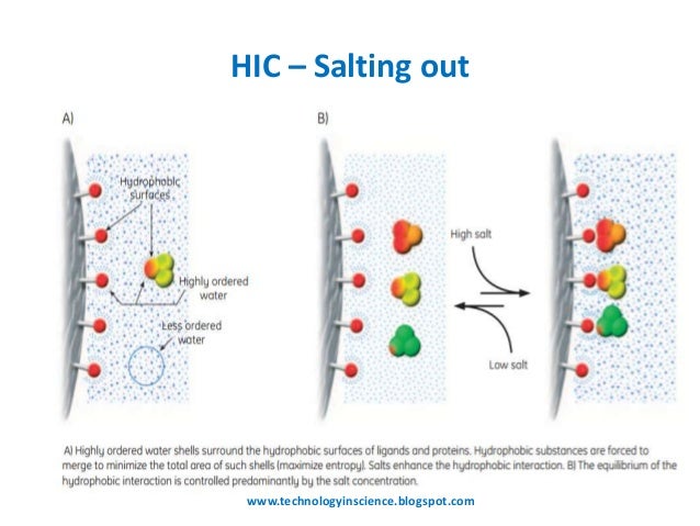 Hydrophobic interaction chromatography [HIC] Theory and Principle