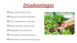 Hydroponics: Revolutionizing Sustainable Agriculture. | PPTX