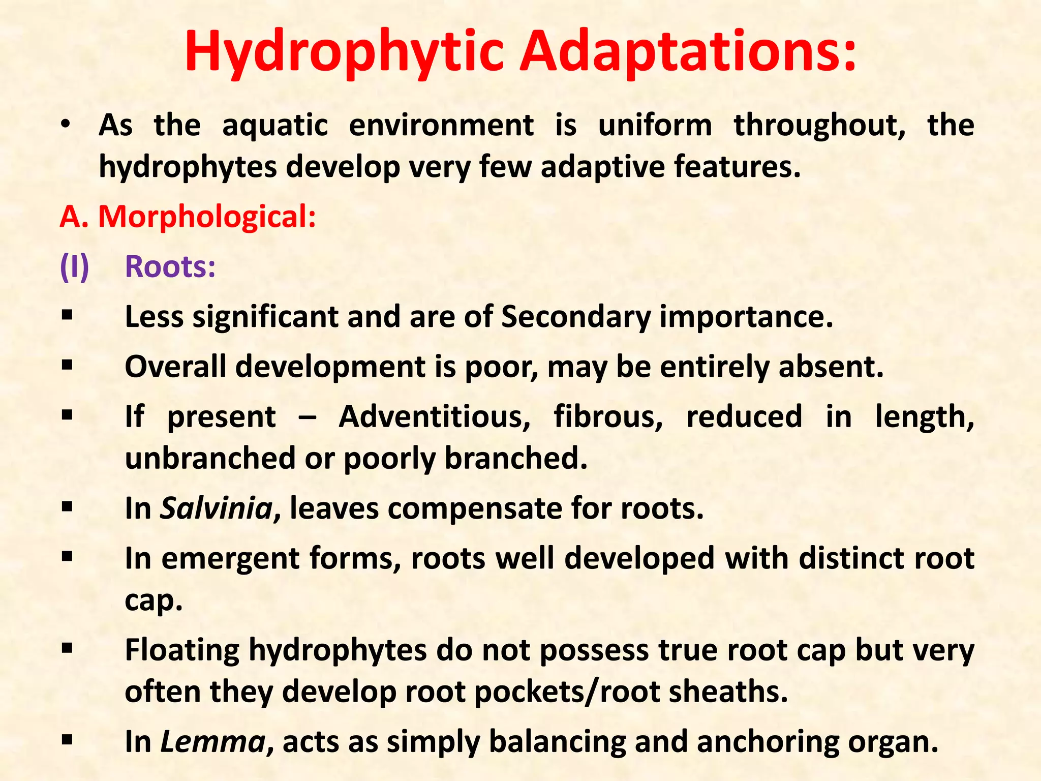 Hydrophytes | PDF