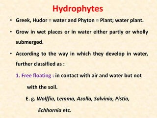Hydrophytes | PDF