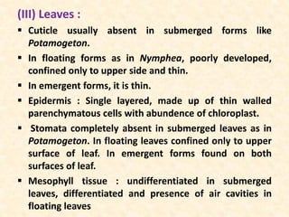 Hydrophytes | PDF