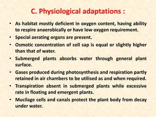 Hydrophytes | PDF