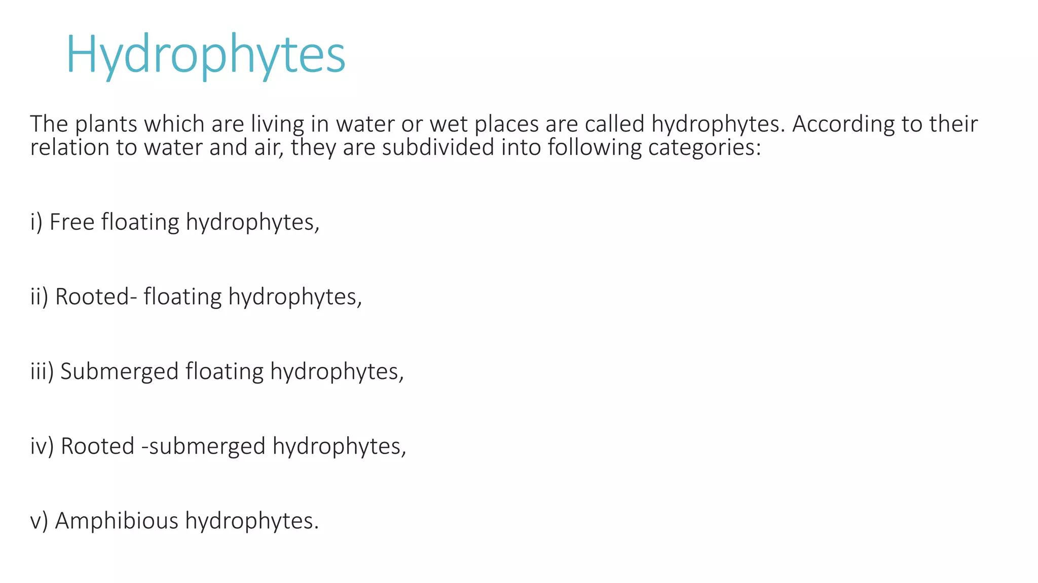 Hydrophytes | PDF