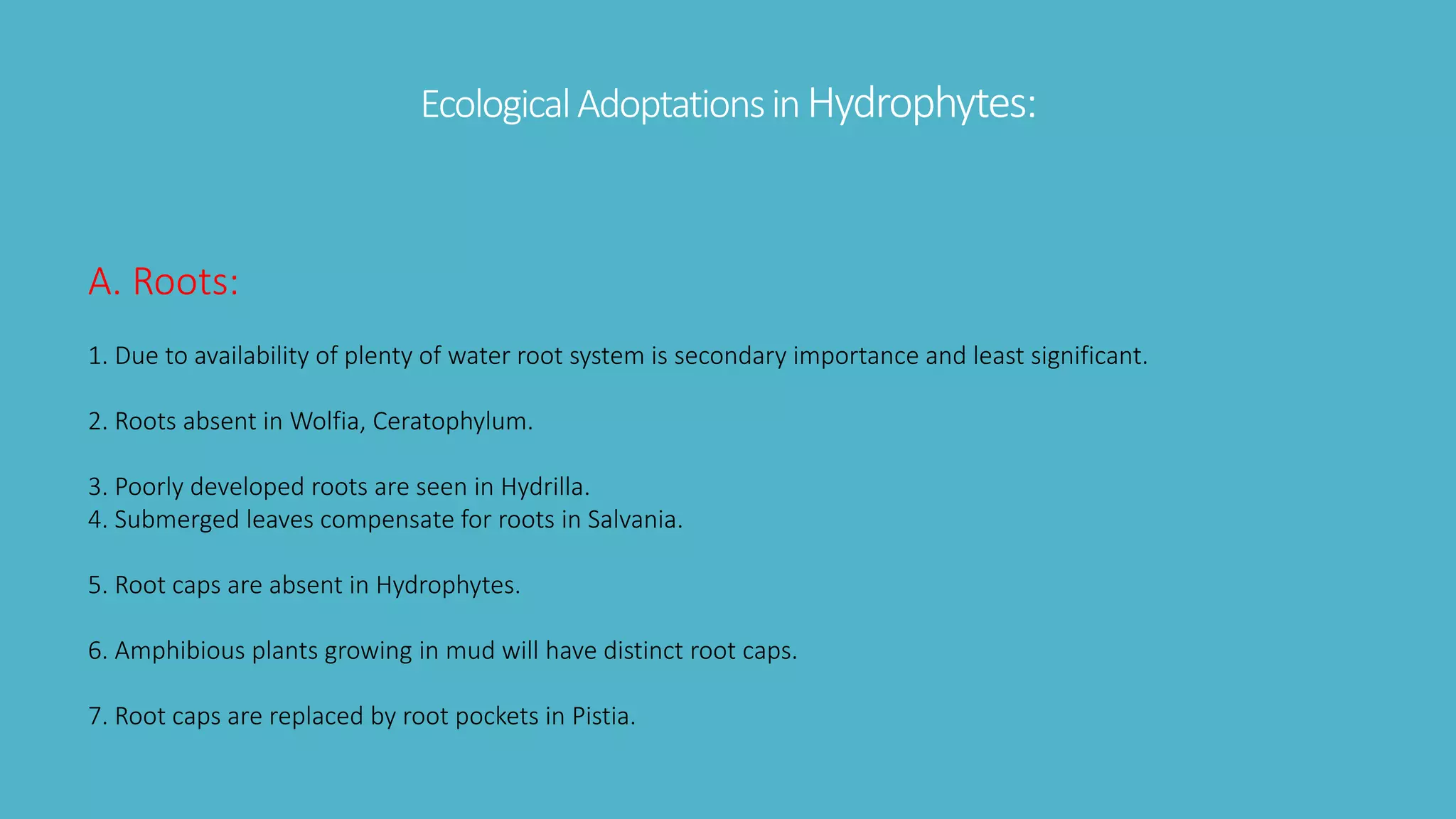 Hydrophytes | PDF