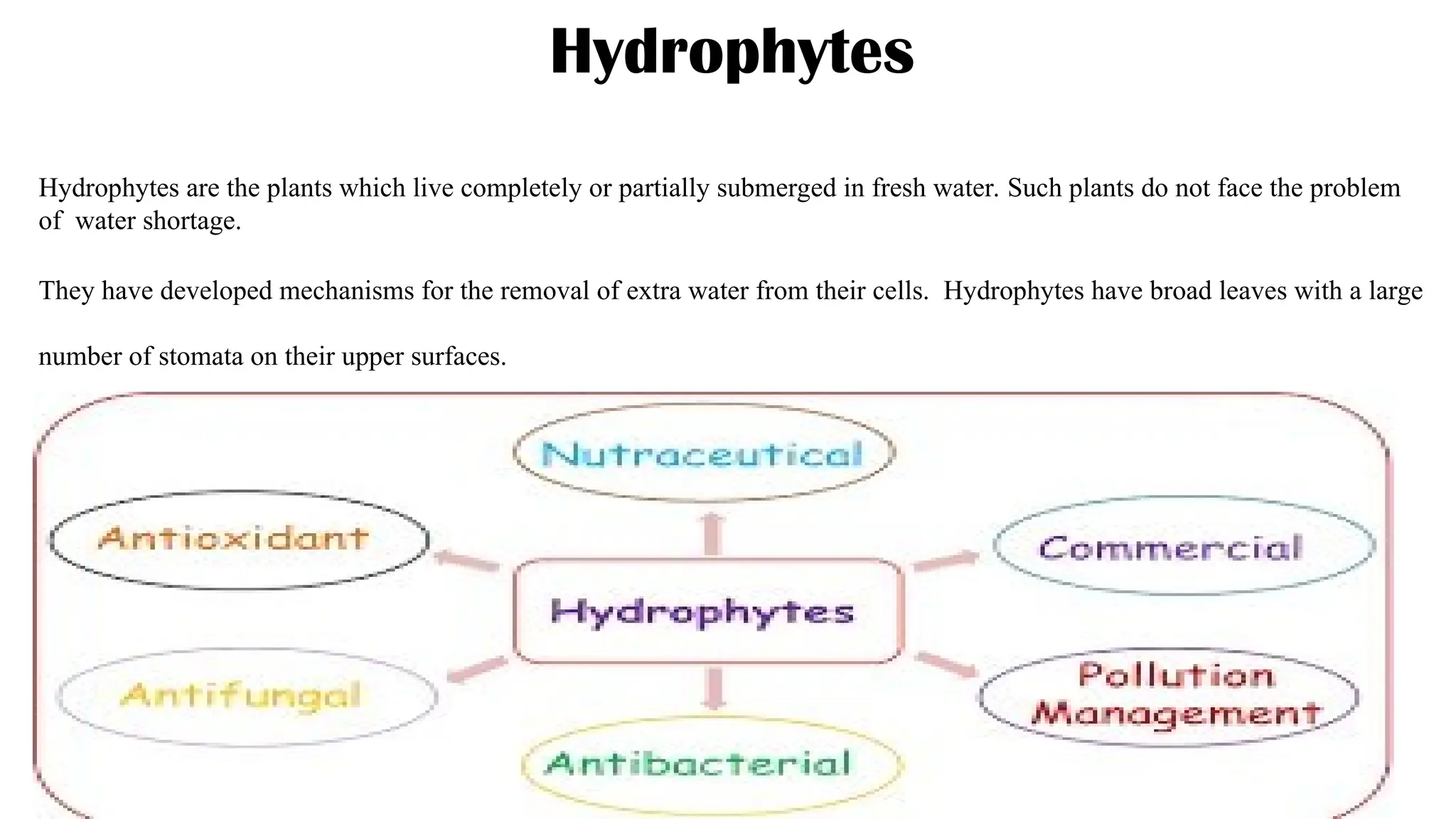 Hydrophytes & Their: Types, Ecology, Morphology and Anatomy.ppt