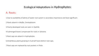 Hydrophytes & Their: Types, Ecology, Morphology and Anatomy.ppt