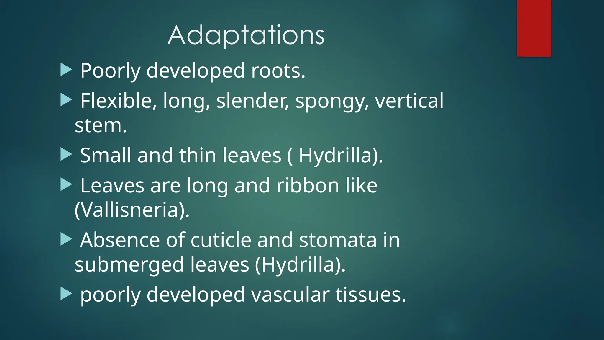 Hydrophyteswaterplantsnaturalscience.pptx