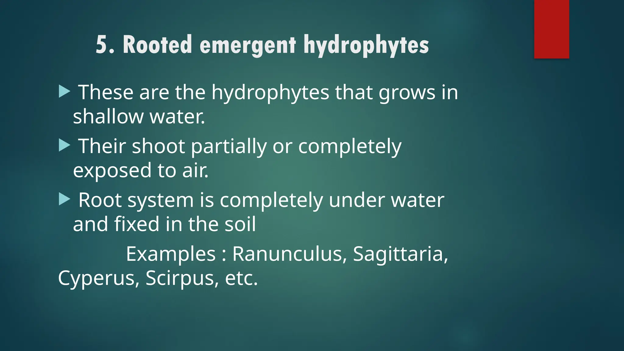Hydrophyteswaterplantsnaturalscience.pptx