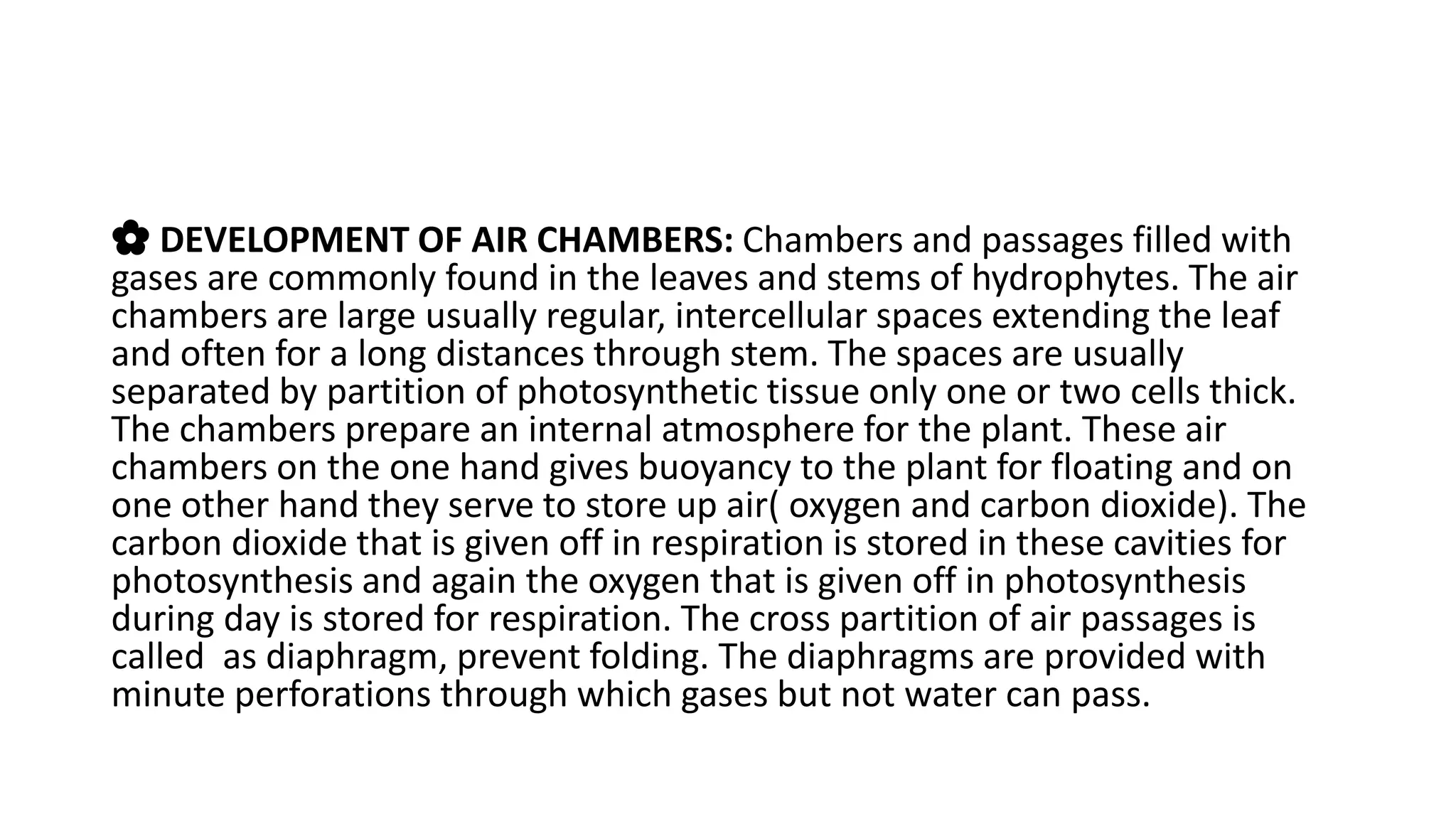 Hydrophytes and xerophytes | PPTX