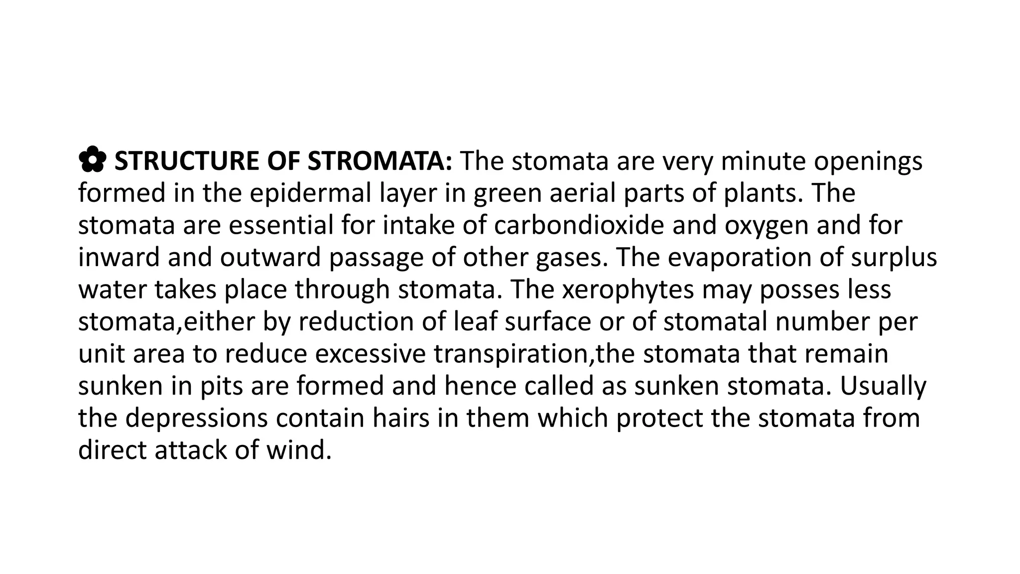 Hydrophytes and xerophytes | PPTX