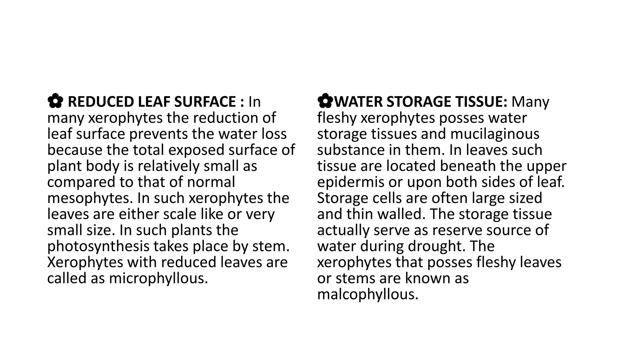 Hydrophytes and xerophytes | PPTX
