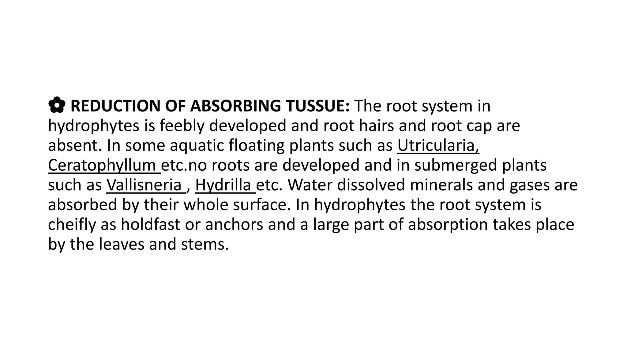 Hydrophytes and xerophytes | PPTX