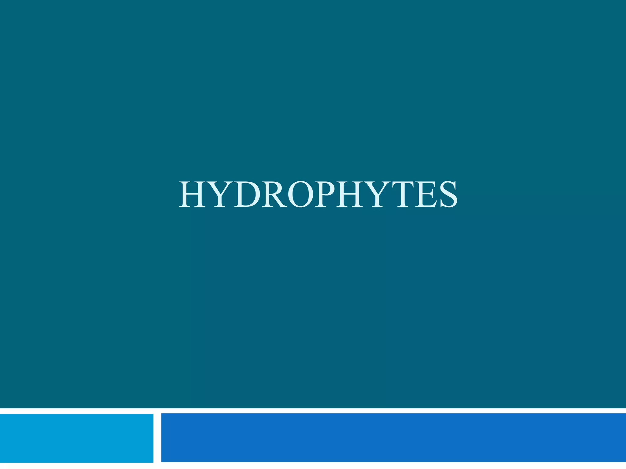 Hydrophytes classification | PPTX