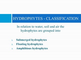 Hydrophytes classification | PPT