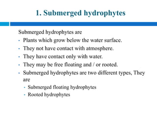 Hydrophytes classification | PPT
