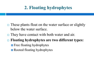 Hydrophytes classification | PPT