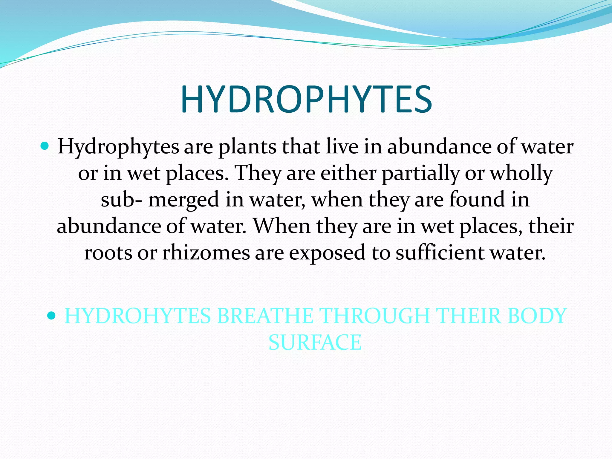 Hydrophytes | PPT
