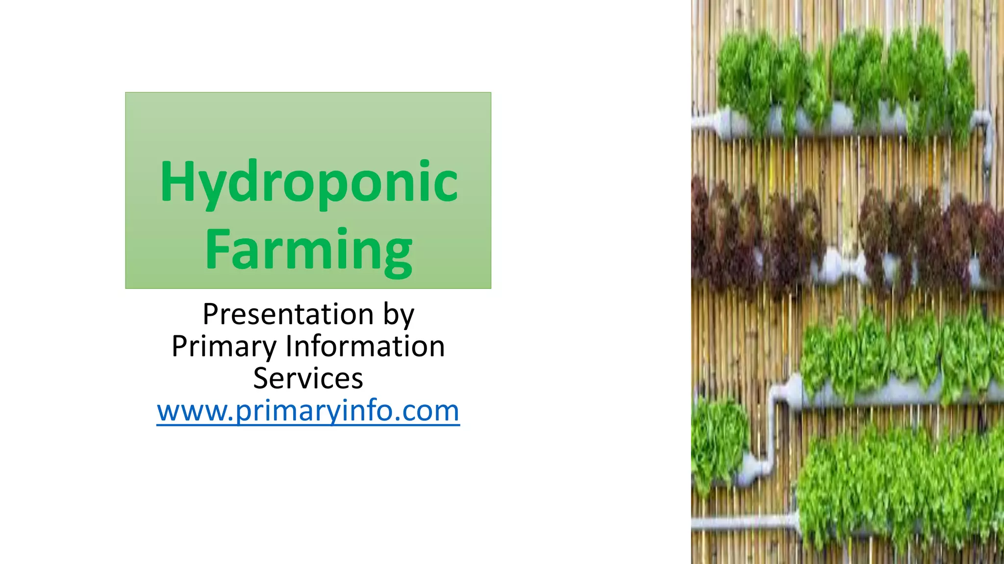 Hydroponic farming | PDF