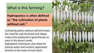 Hydroponic farming | PDF