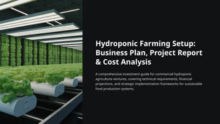 Hydroponic Farming Setup Business Plan and Project Report | PPTX