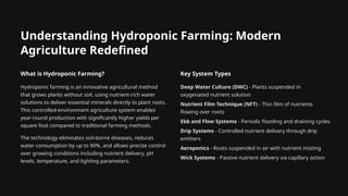 Hydroponic Farming Setup Business Plan and Project Report | PPTX