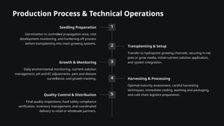 Hydroponic Farming Setup Business Plan and Project Report | PPTX