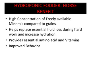 Hydroponic fodder horses | PPT