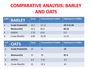 Hydroponic fodder horses | PPT