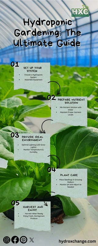 🌱 Hydroponic Gardening The Ultimate Guide 🌱.pdf