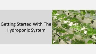 Hydroponic Growing Guide | PDF