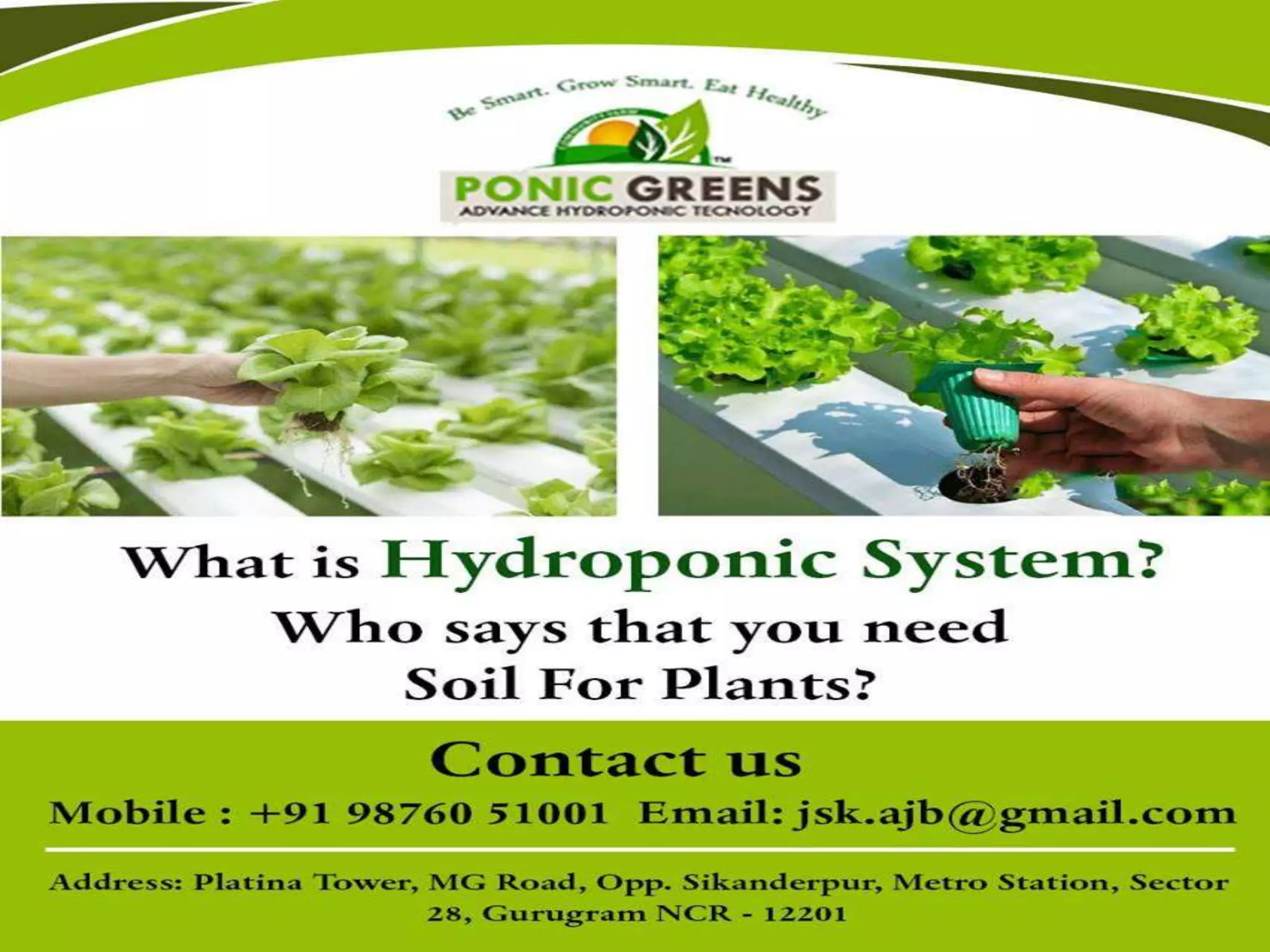 Hydroponic in india ponic greens- hydroponic shop in india | PPTX