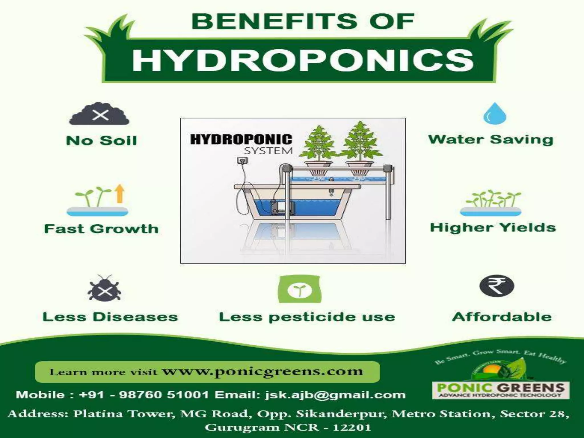 Hydroponic in india ponic greens- hydroponic shop in india | PPTX