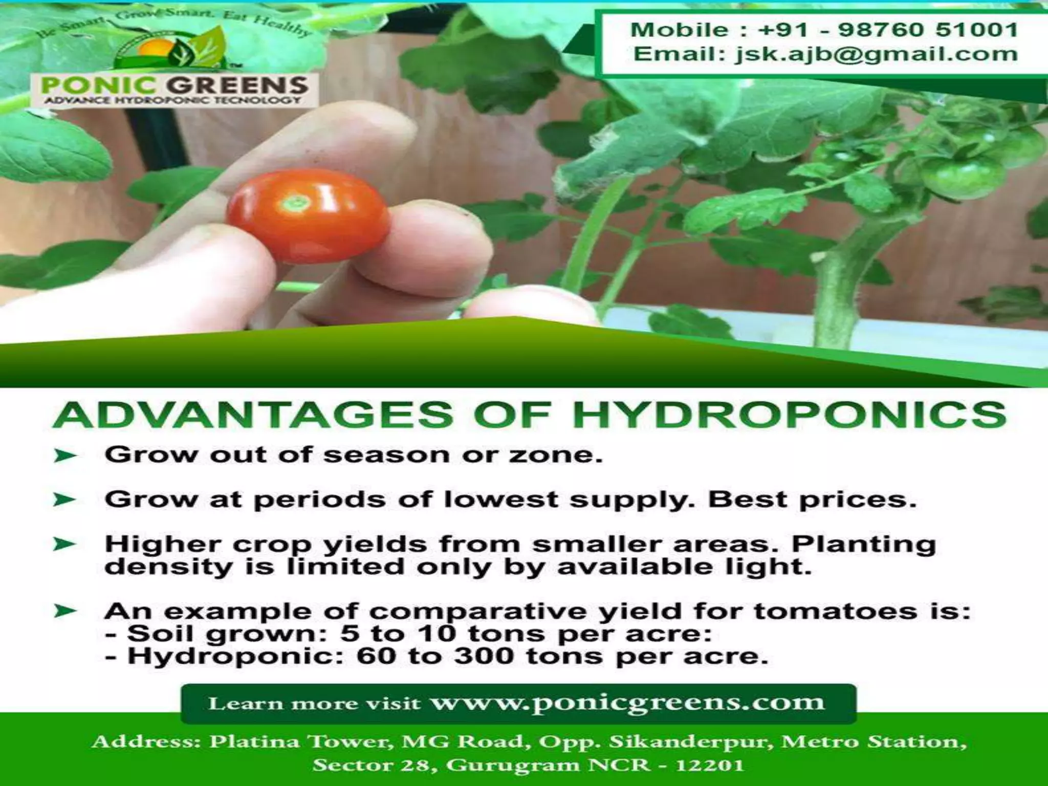 Hydroponic in india ponic greens- hydroponic shop in india | PPTX