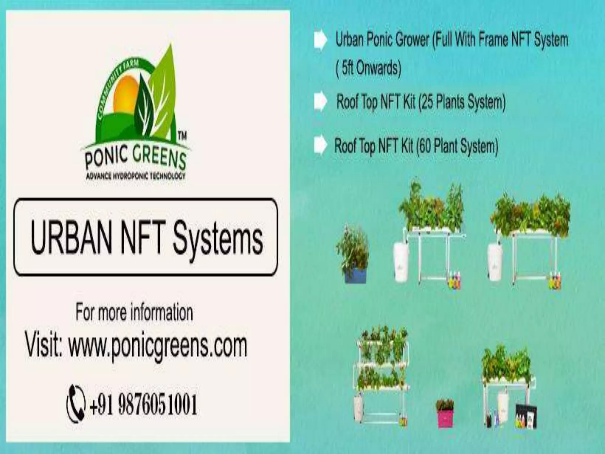 Hydroponic in india ponic greens- hydroponic shop in india | PPTX