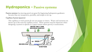 entrepreneurship development in Horticulture with various Hydroponic ...