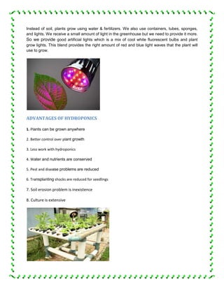 Hydroponics | DOCX