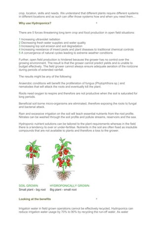 Hydroponics | DOC