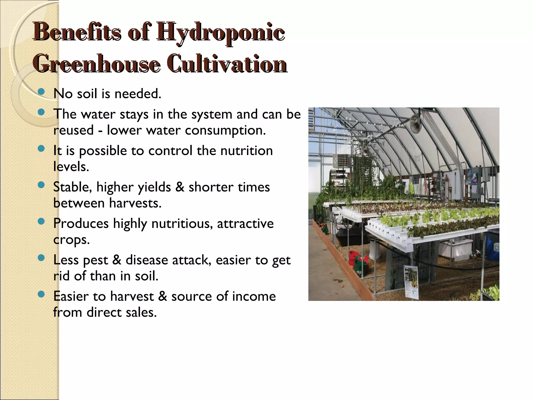 Hydroponics | PPT