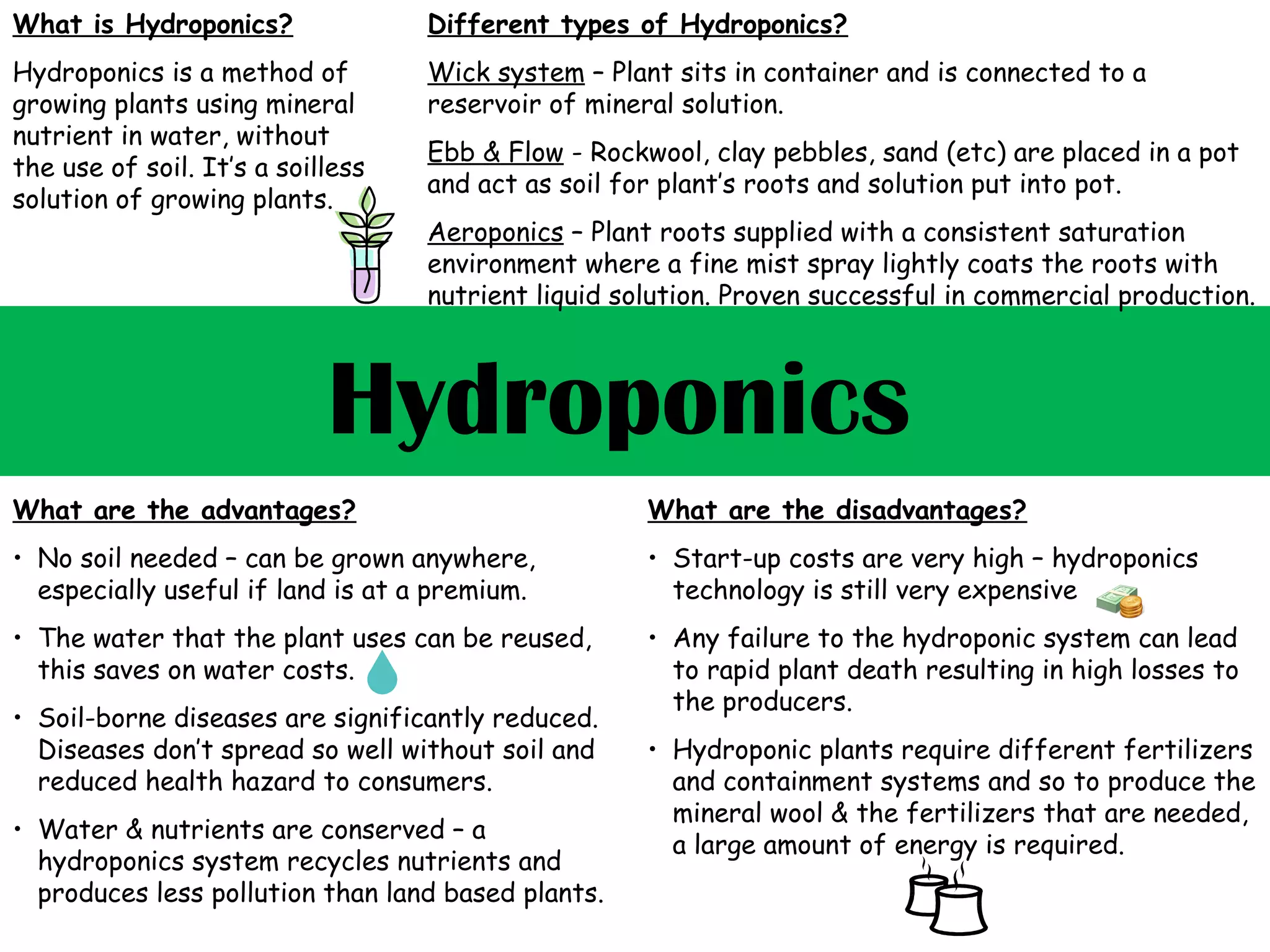 Hydroponics | PPT