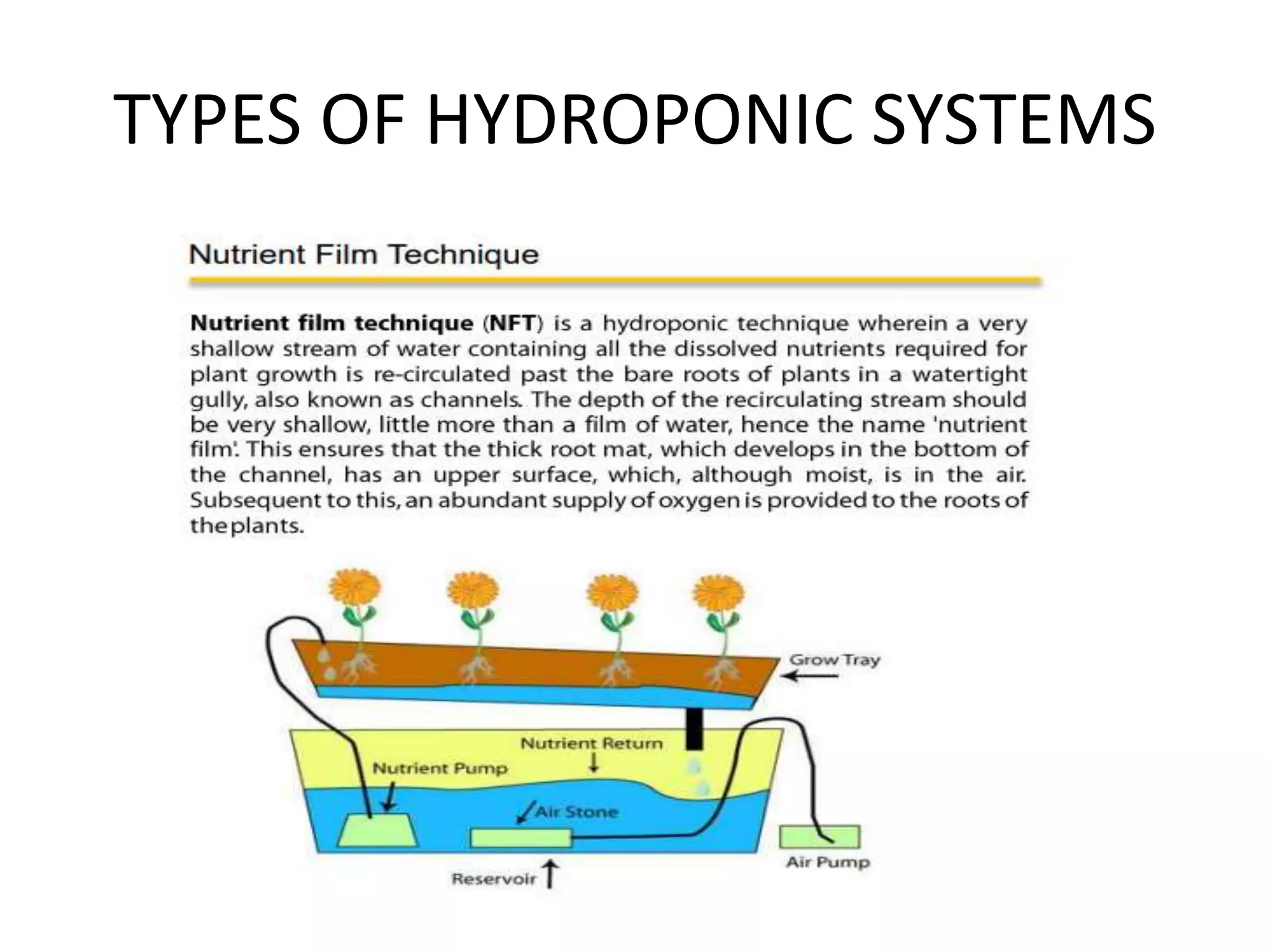 INTRODUCTION TO HYDROPONICS ( OVERVIEW) | PPTX