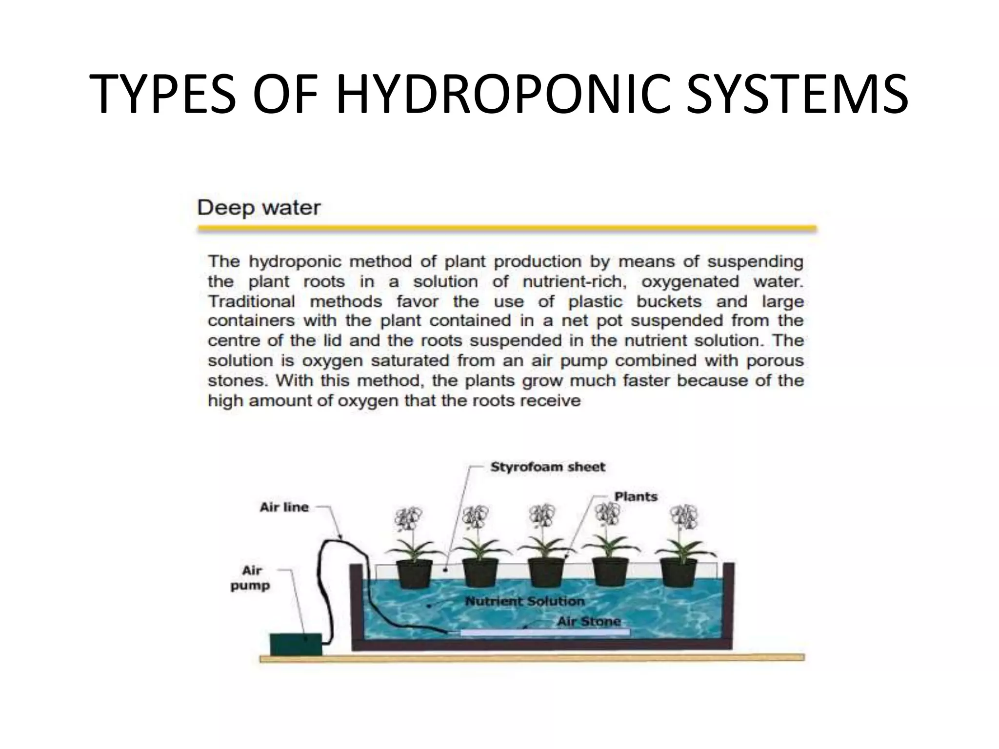 INTRODUCTION TO HYDROPONICS ( OVERVIEW) | PPTX