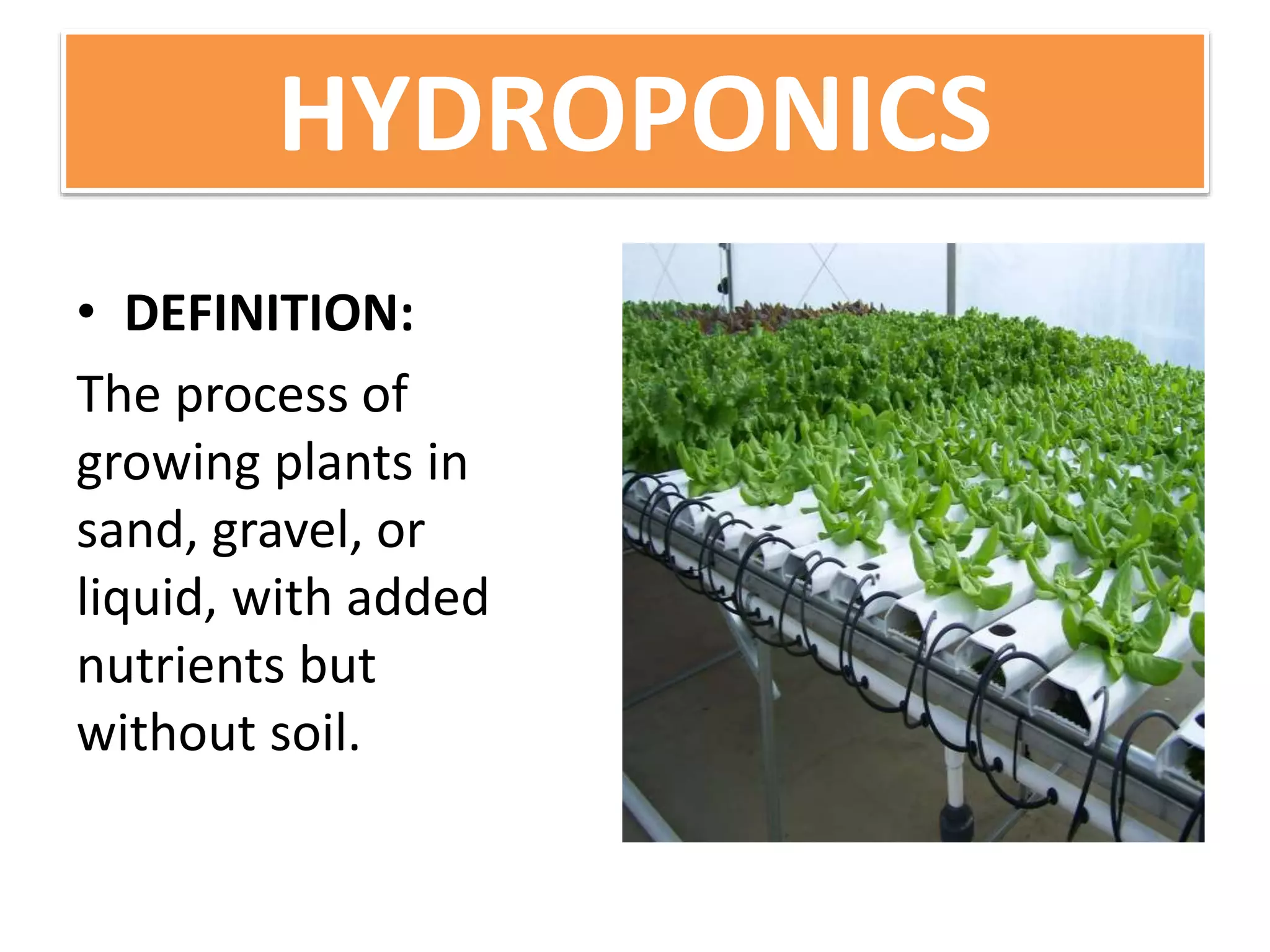 INTRODUCTION TO HYDROPONICS ( OVERVIEW) | PPTX