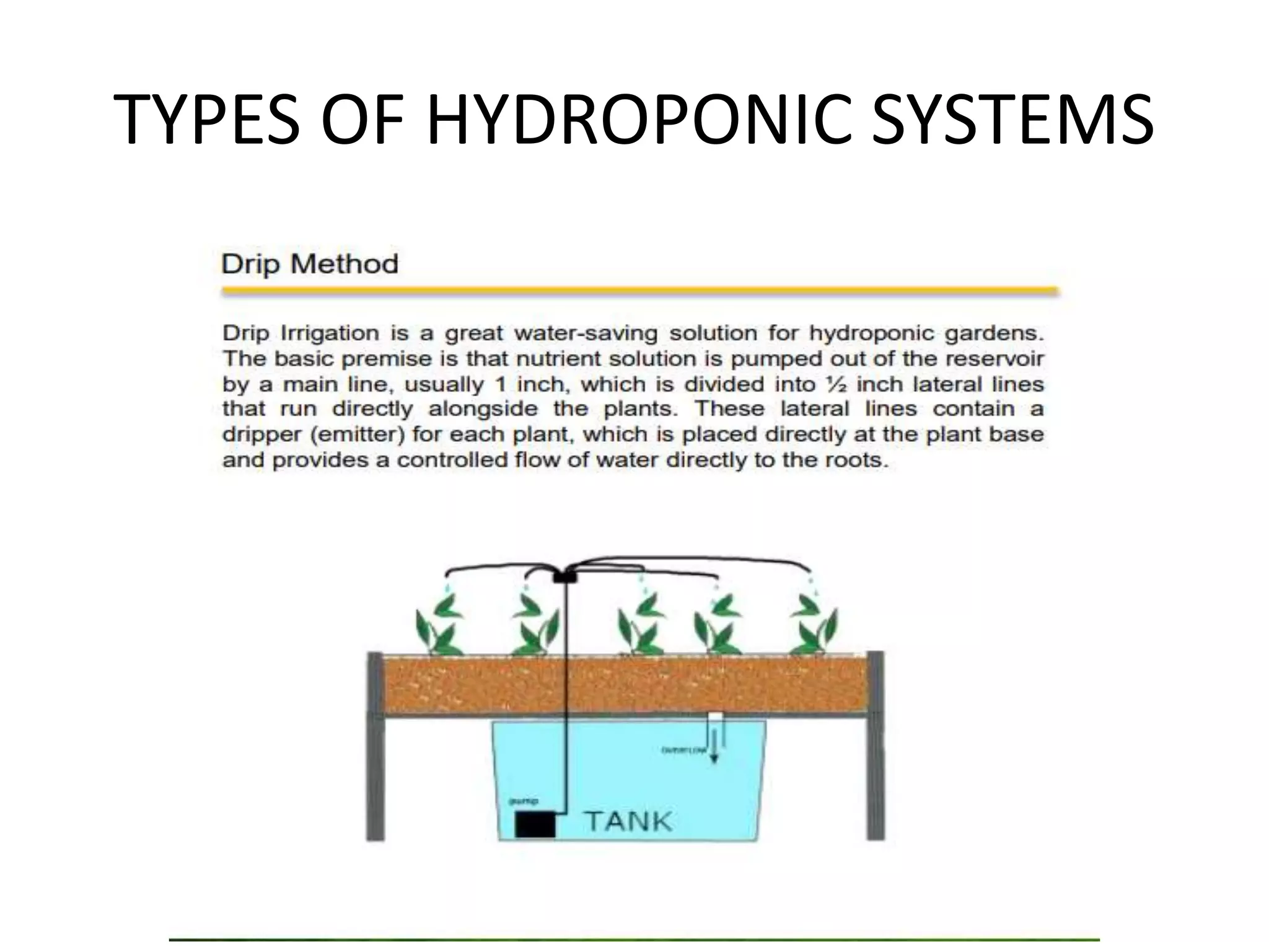 INTRODUCTION TO HYDROPONICS ( OVERVIEW) | PPTX