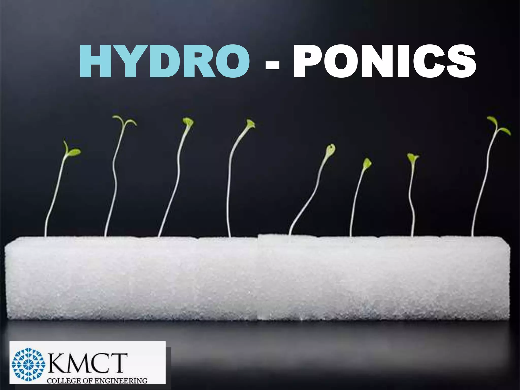 Hydroponics - history,types,working,etc | PPTX